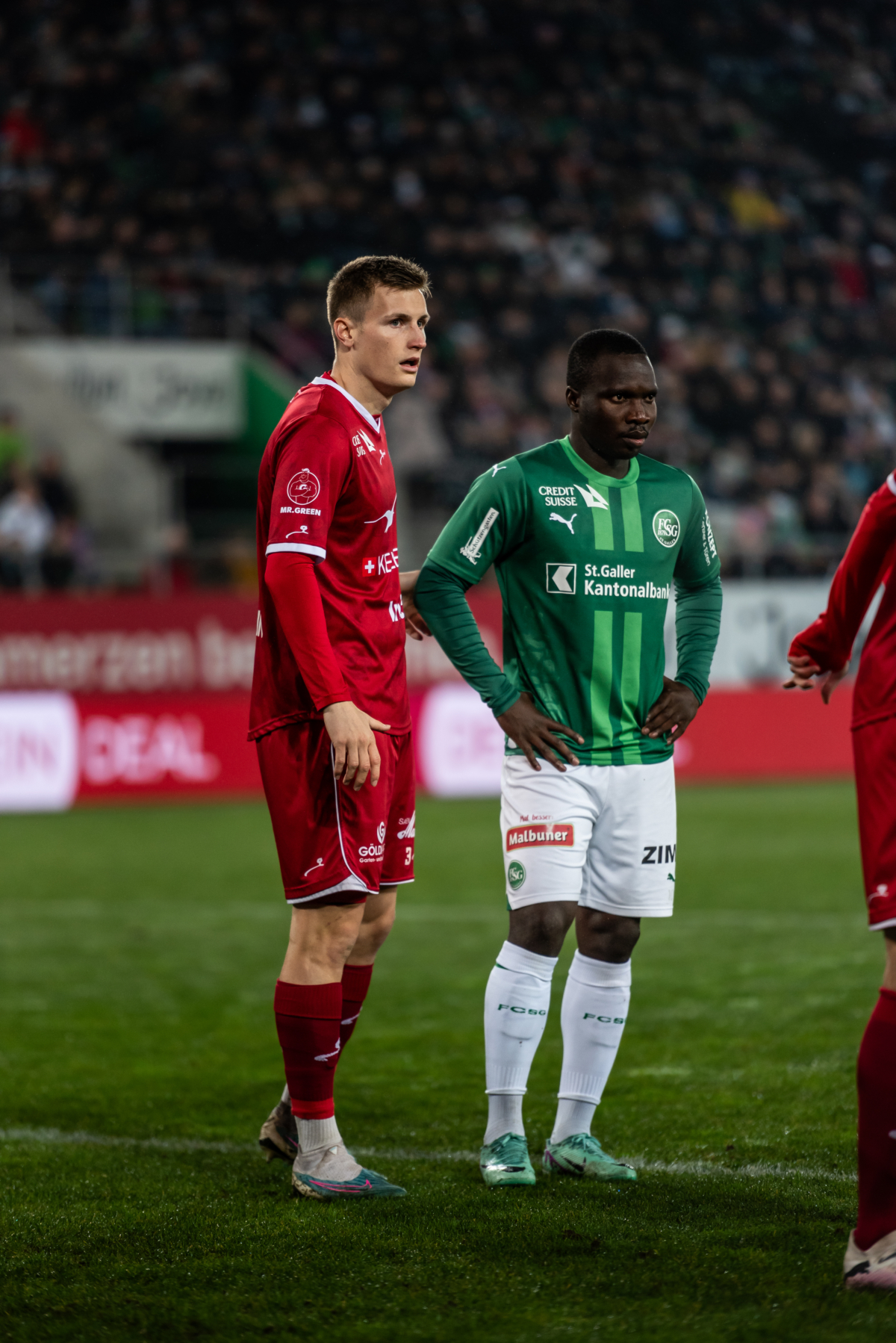 Matchvorschau: Auf zum letzten Heimspiel in dieser grossartigen Saison ...